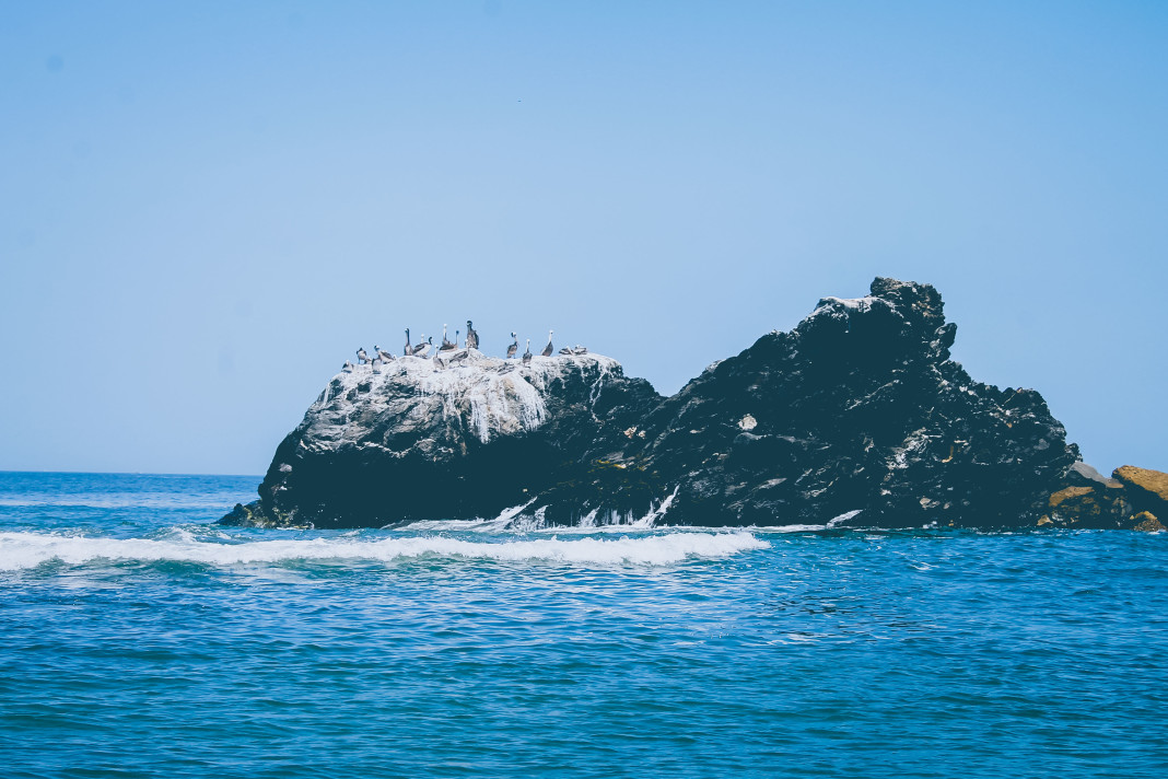 Paita | Descubre los encantos de la Isla Foca en La Islilla