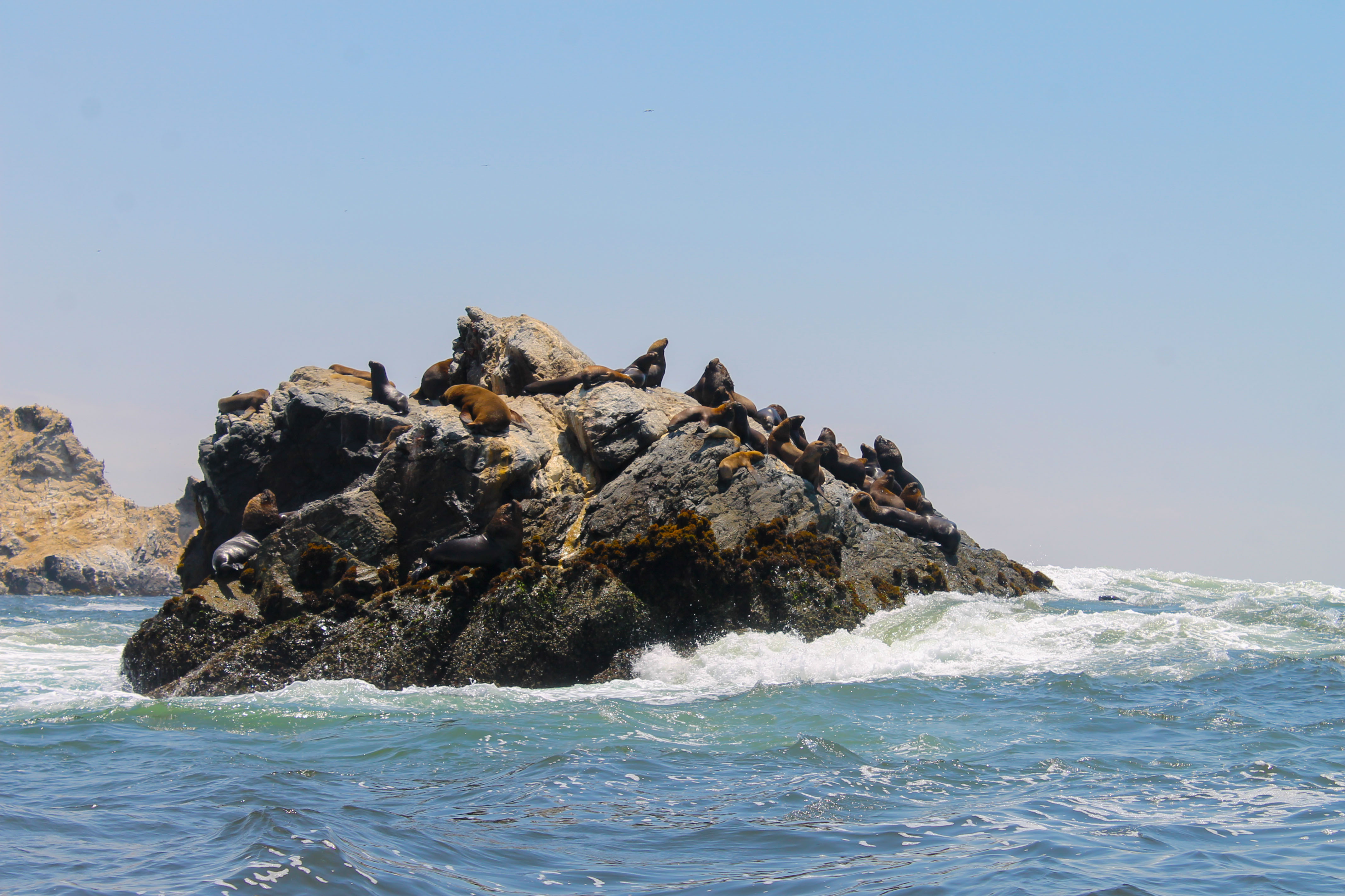 La Isla Foca es el atractivo turístico más votado en concurso regional