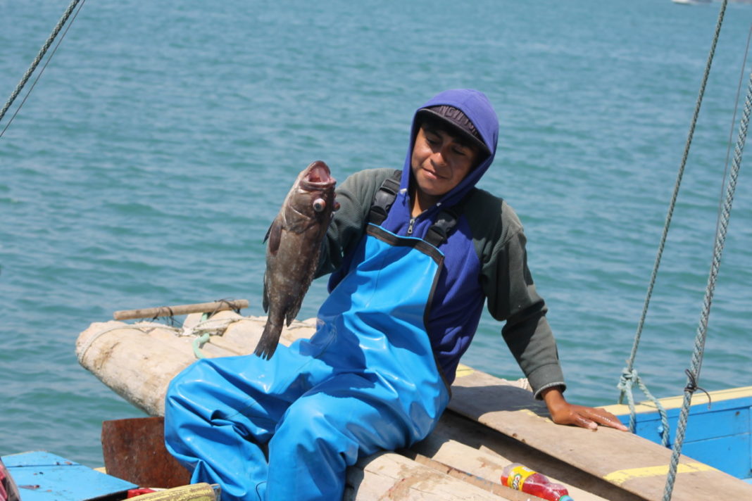 Pesquería Artesanal de Piura recibirá apoyo internacional