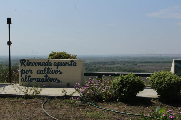 5 distritos con mucha cultura que debes conocer en Paita