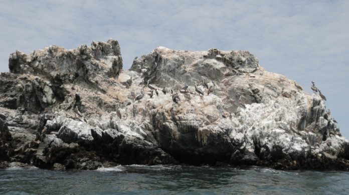 La portentosa ruta de piedra que lleva a la Isla Foca