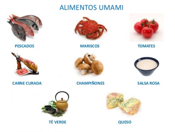 8 cosas sorprendentes que no sabías del Umami