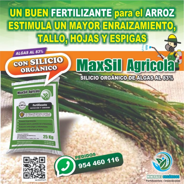 El Silicio Orgánico De Algas Como Fertilizante Para Plantas