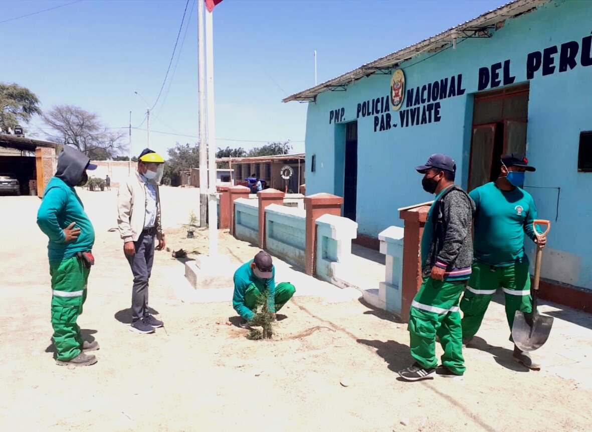 Comuna de Paita realiza campaña de arborización en Viviate