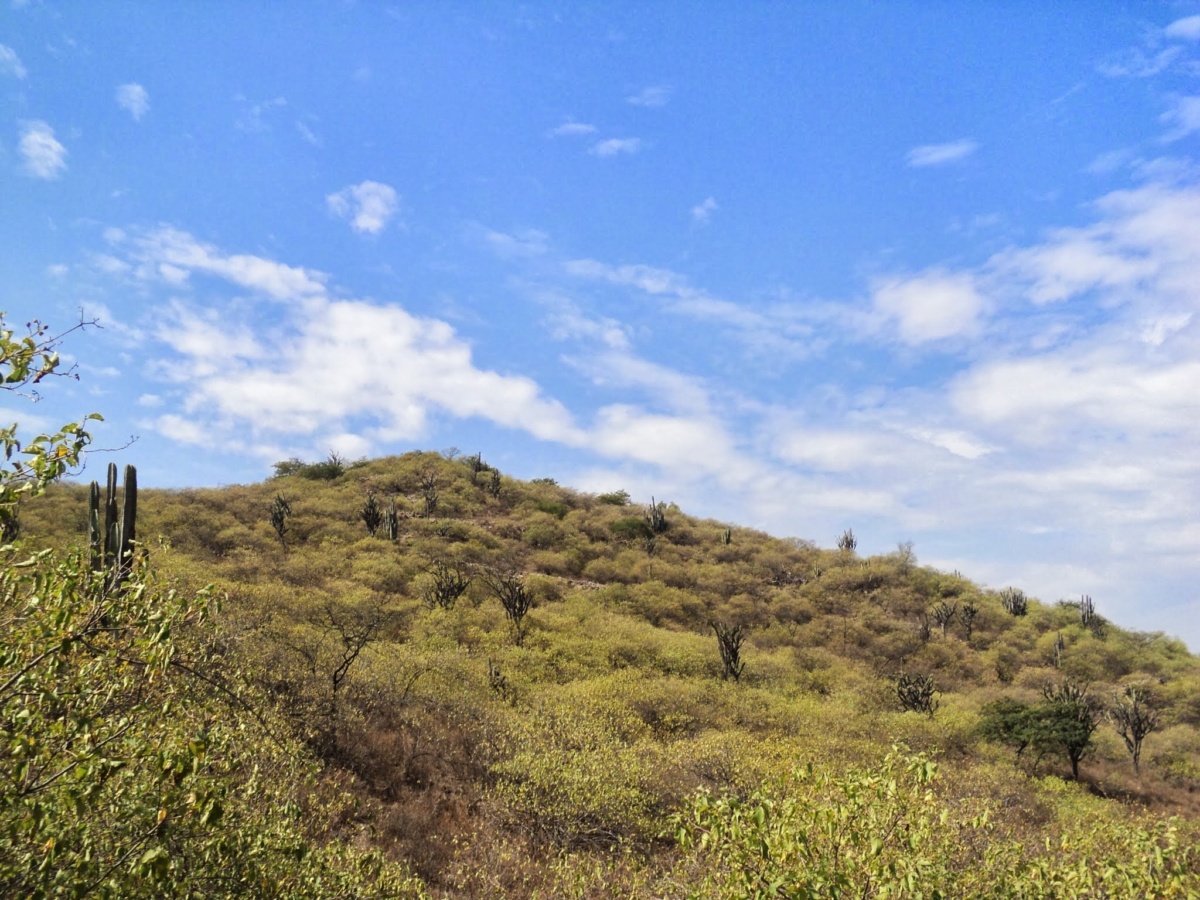 Cerro Verde en La Matanza: conoce este complejo arqueológico