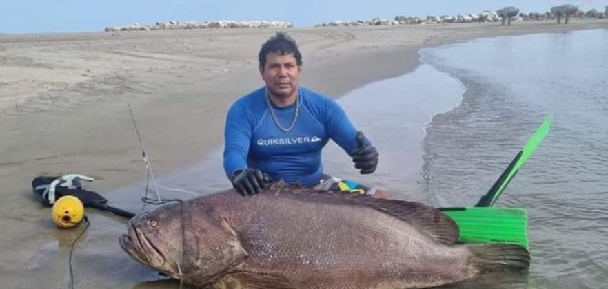 Tumbes: logran pescar un mero de 105 kilos | Walac Noticias