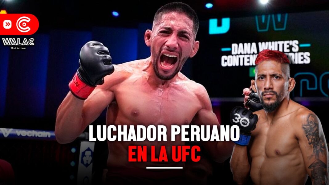 Daniel Marcos: el luchador peruano en la UFC | Walac Noticias